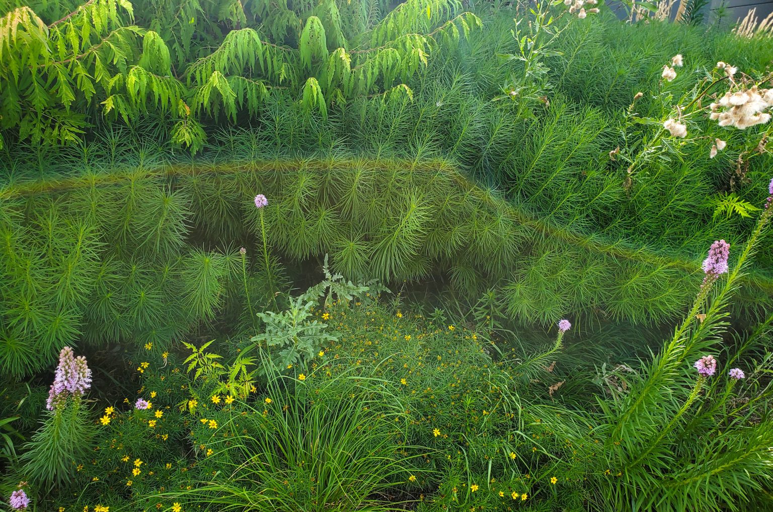 Design & Consultation - Environmental Harmony