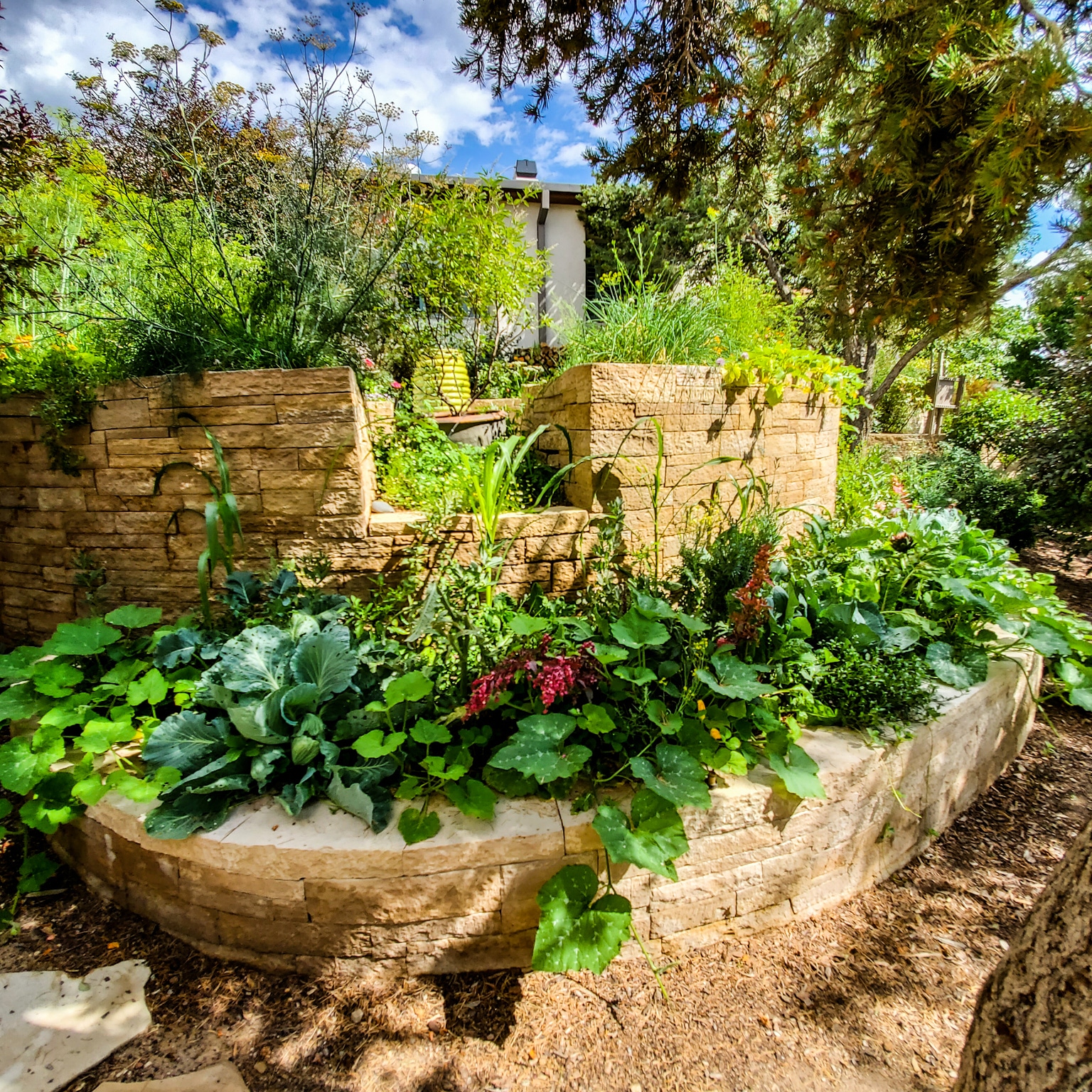 Projects – Environmental Harmony